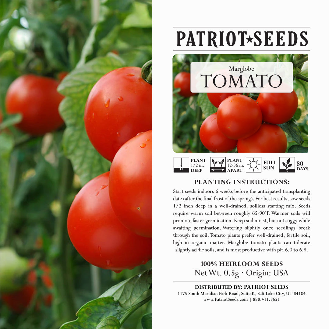 Heirloom Marglobe Tomato Seeds (.5g) by Patriot Seeds - My Patriot Supply
