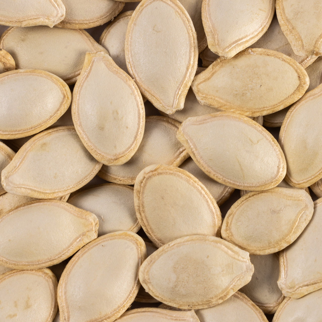 Grey Zucchini Summer Squash Seeds | Heirloom, Non-GMO - Default Title ...